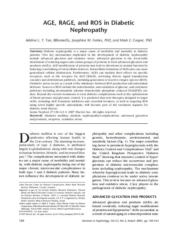 (PDF) AGE, RAGE, and ROS in Diabetic Nephropathy