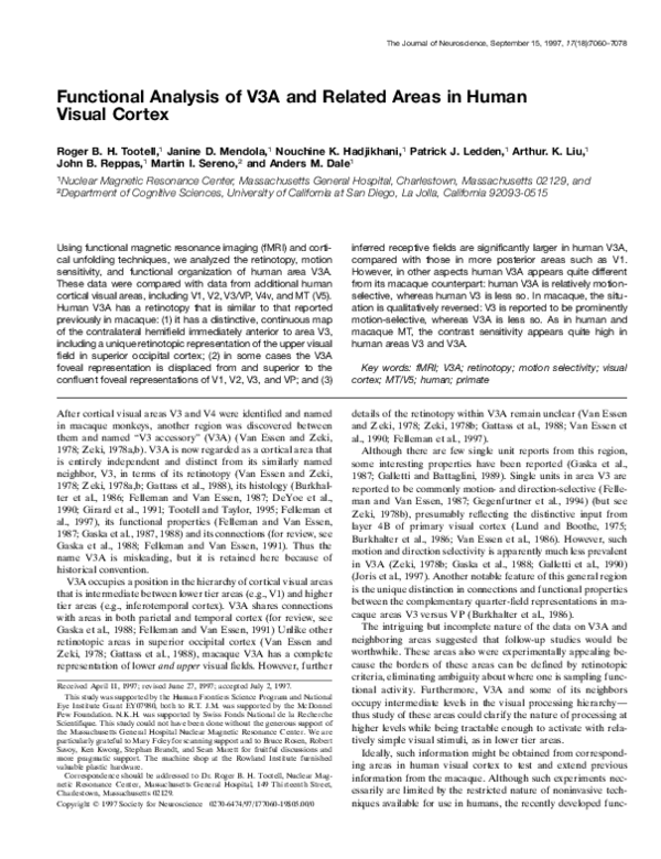 (PDF) Functional Analysis of V3A and Related Areas in Human Visual Cortex