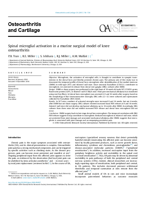 (PDF) Spinal Microglial Activation in a Murine Surgical Model of Knee ...