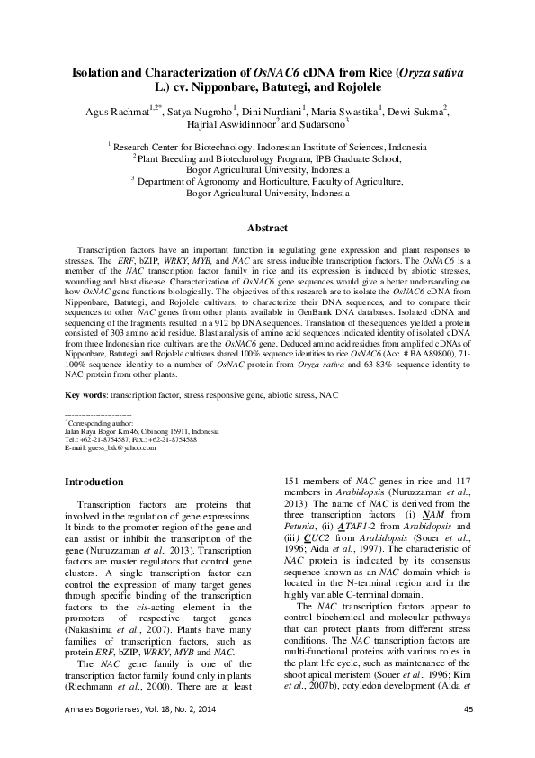 (PDF) Isolation and Characterization of OsNAC6 cDNA from Rice (Oryza sativa L.) cv. Nipponbare ...
