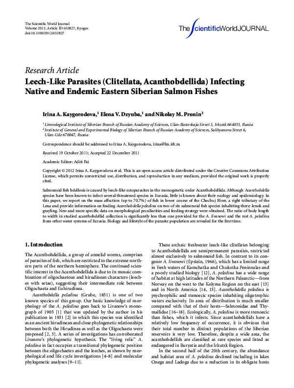 (PDF) Leech-Like Parasites (Clitellata, Acanthobdellida) Infecting ...