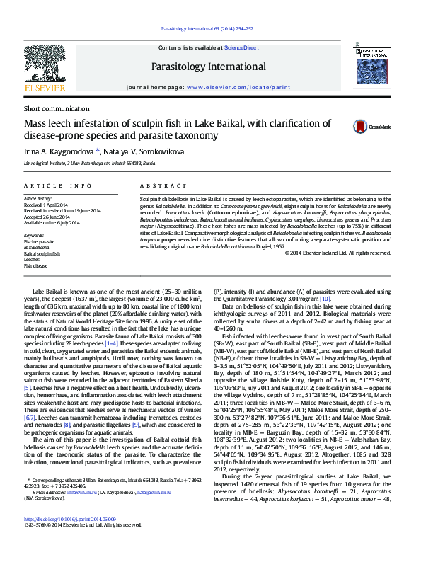 (PDF) Mass leech infestation of sculpin fish in Lake Baikal, with ...