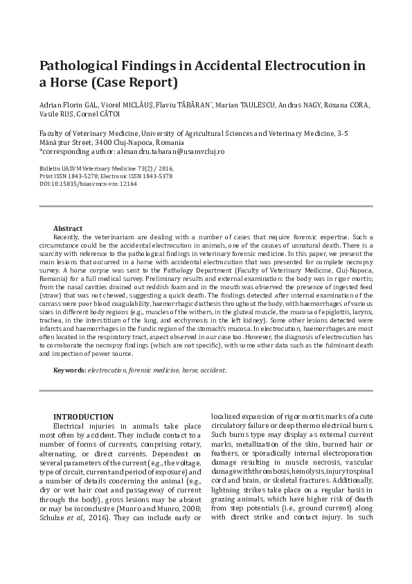 (PDF) Pathological Findings in Accidental Electrocution in a Horse ...