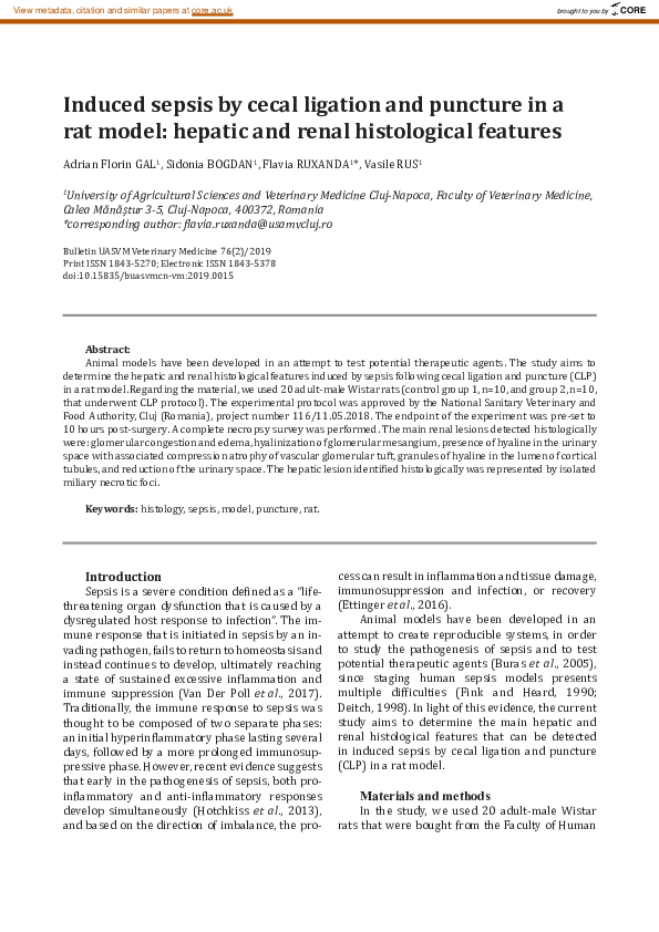 (PDF) Induced sepsis by cecal ligation and puncture in a rat model ...