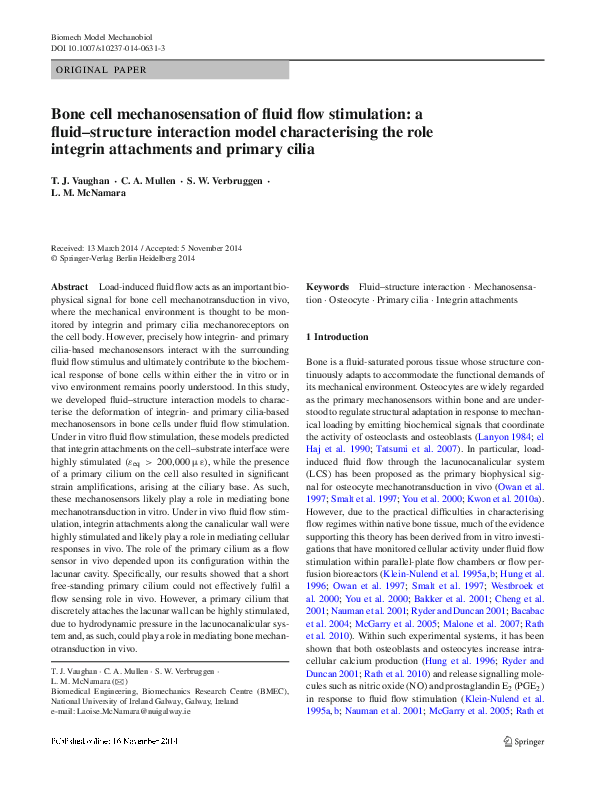 (PDF) Bone cell mechanosensation of fluid flow stimulation: a fluid–structure interaction model ...