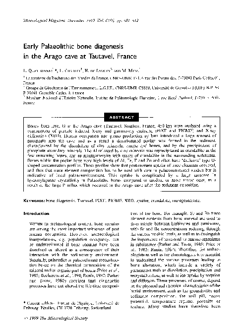 (PDF) Early Palaeolithic bone diagenesis in the Arago cave at Tautavel ...