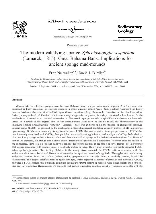 (PDF) The modern calcifying sponge Spheciospongia vesparium (Lamarck ...