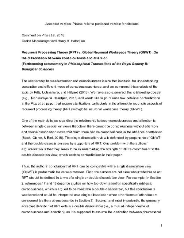 (PDF) Recurrent Processing Theory (RPT) v. Global Neuronal Workspace ...