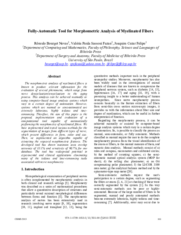 Fully-automatic tool for morphometric analysis of myelinated fibers