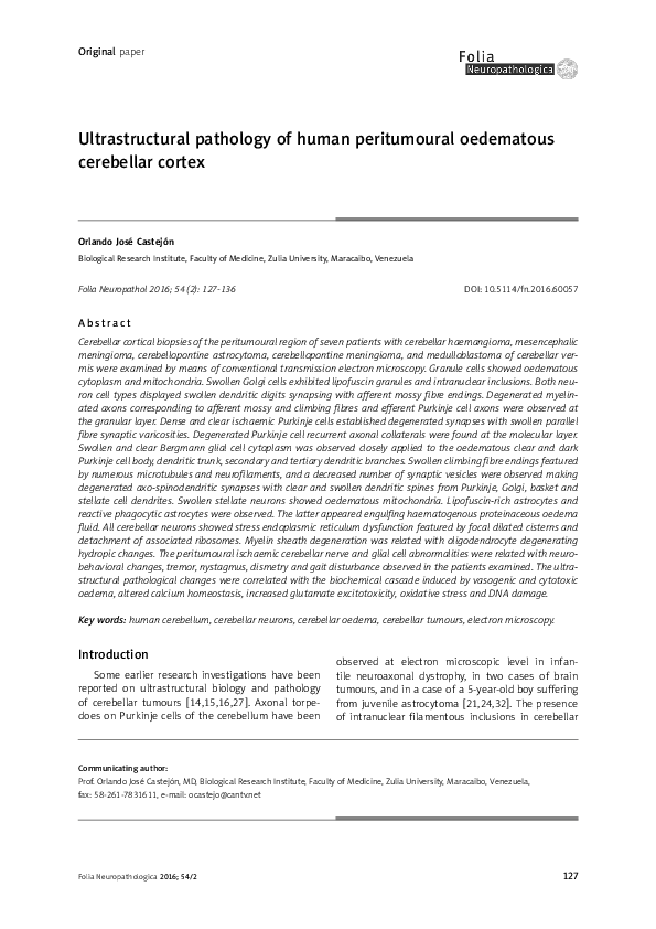 (PDF) Ultrastructural pathology of human peritumoural oedematous ...