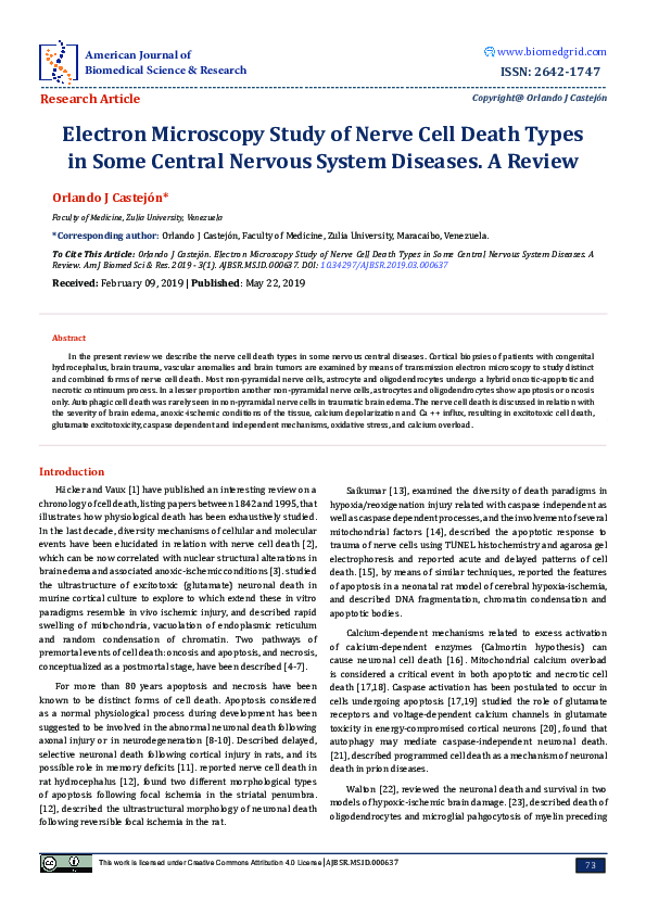 (PDF) Electron Microscopy Study of Nerve Cell Death Types in Some ...