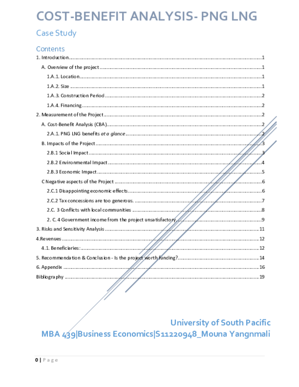 (PDF) Cost-Benefit Analysis Case Study PNG LNG