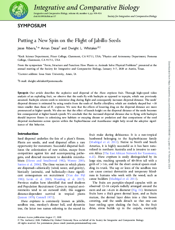 (PDF) Putting a New Spin on the Flight of Jabillo Seeds