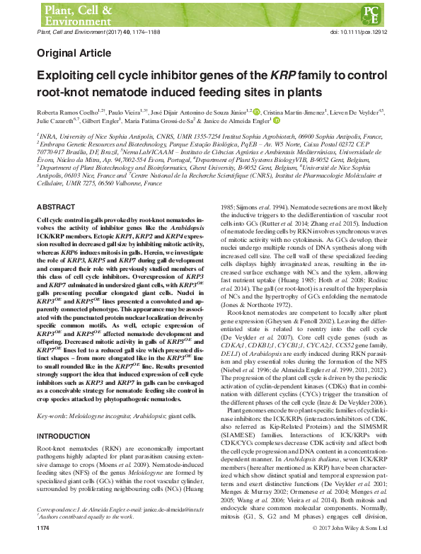 (PDF) Exploiting cell cycle inhibitor genes of the KRP family to ...