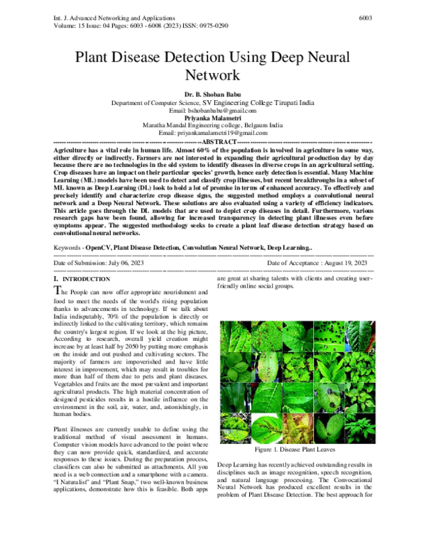 (PDF) Plant Disease Detection Using Deep Neural Network