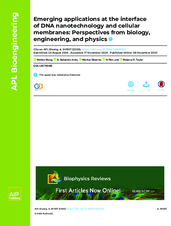 (PDF) Emerging applications at the interface of DNA nanotechnology and ...