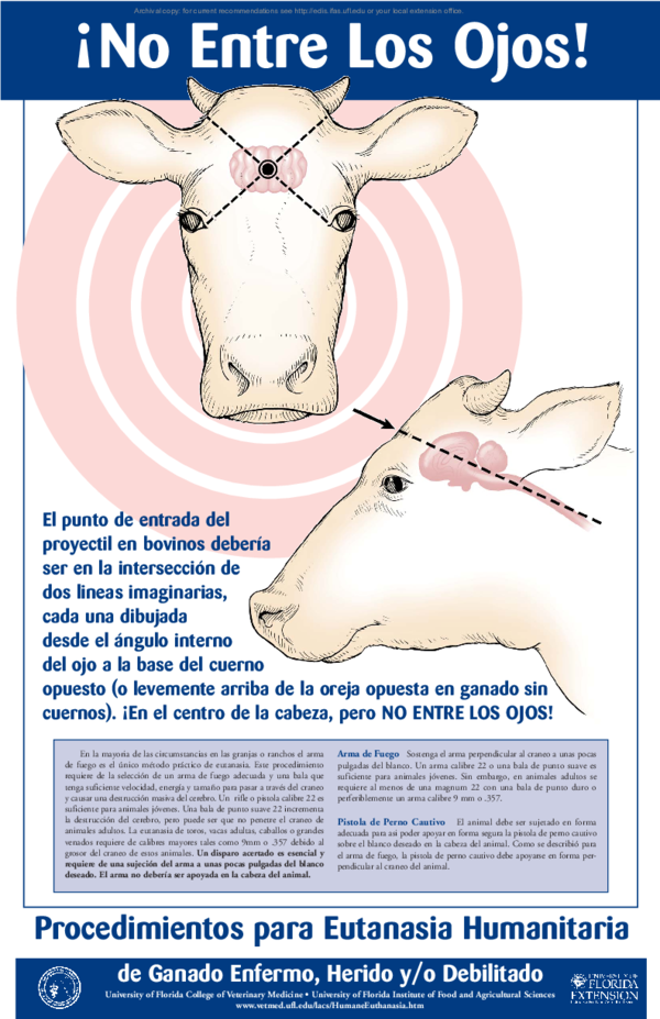 (PDF) Procedimientos para Eutanasia Humanitaria de Ganado Enfermo ...