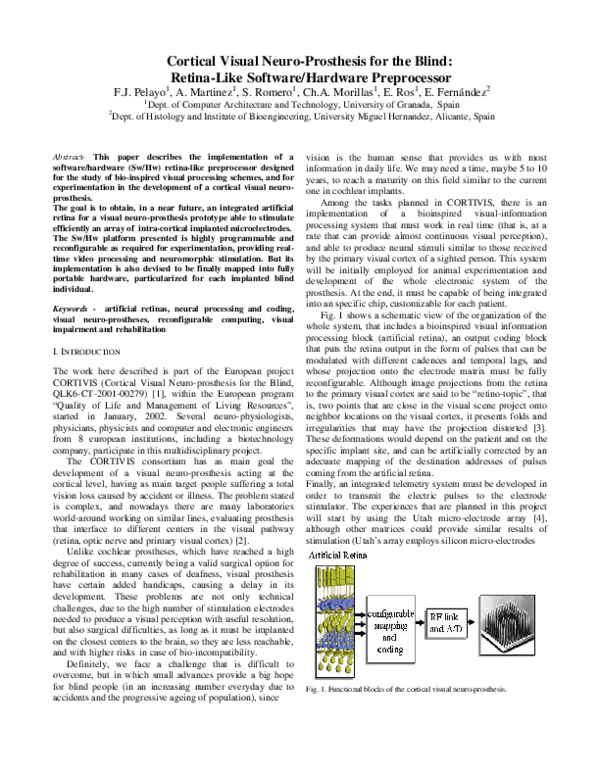 (PDF) Cortical visual neuro-prosthesis for the blind: retina-like ...