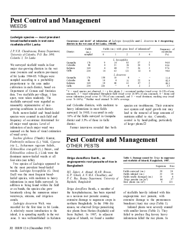 (PDF) Striga densiflora Benth., An Angiospermic Root Parasite of Rice ...