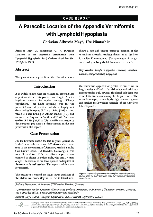 (PDF) A Paracolic Location of the Appendix Vermiformis with Lymphoid Hypoplasia