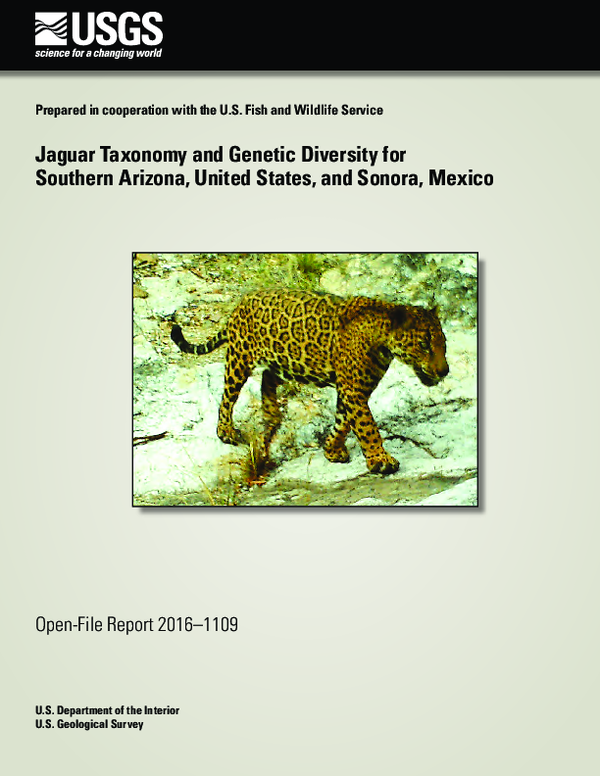 (PDF) Jaguar taxonomy and genetic diversity for southern Arizona ...
