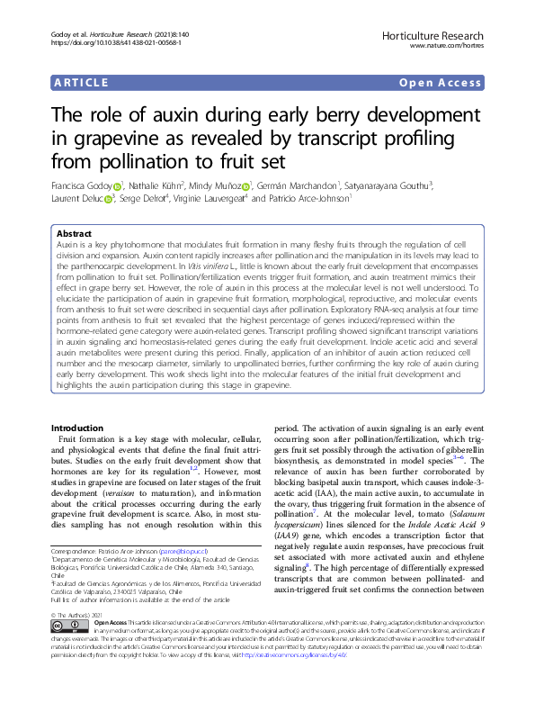 (PDF) The role of auxin during early berry development in grapevine as ...