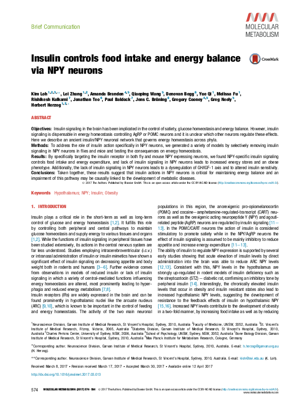 (PDF) Insulin controls food intake and energy balance via NPY neurons