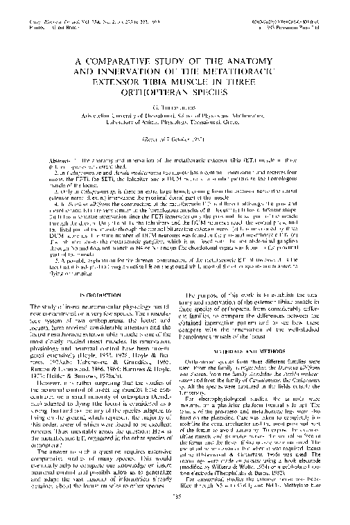 (PDF) A comparative study of the anatomy and innervation of the ...