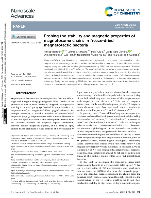 (PDF) Probing the stability and magnetic properties of magnetosome ...