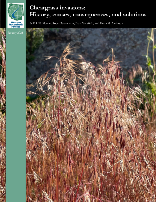 (PDF) Cheatgrass invasions: History, causes, consequences, and solutions