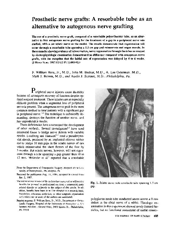 (PDF) Prosthetic nerve grafts: A resorbable tube as an alternative to ...