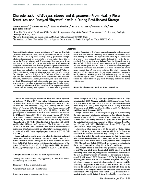 (PDF) Characterization of Botrytis cinerea and B. prunorum From Healthy ...
