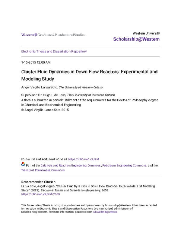 (PDF) Cluster Fluid Dynamics in Down Flow Reactors: Experimental and Modeling Study | Angel ...