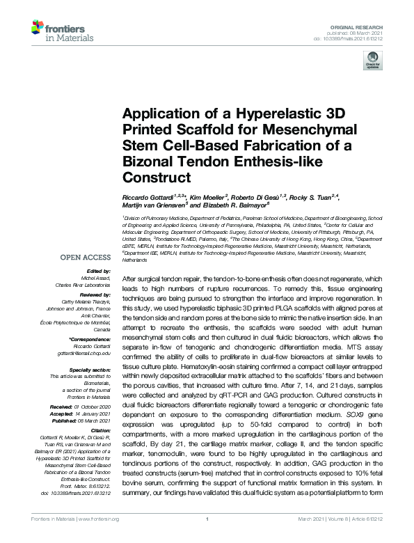 (PDF) Application of a Hyperelastic 3D Printed Scaffold for Mesenchymal ...