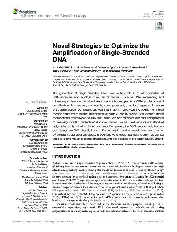 (PDF) Novel Strategies to Optimize the Amplification of Single-Stranded DNA