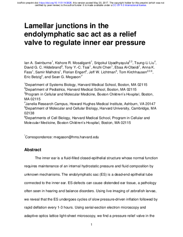 (PDF) Lamellar Junctions In The Endolymphatic Sac Act As A Relief Valve ...