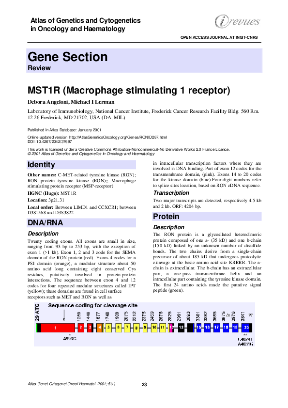 (PDF) © 2001 Atlas of Genetics and Cytogenetics in Oncology and ...