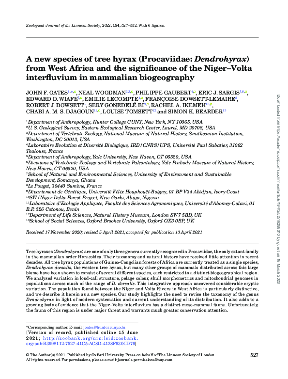 (PDF) A new species of tree hyrax (Procaviidae: Dendrohyrax) from West ...