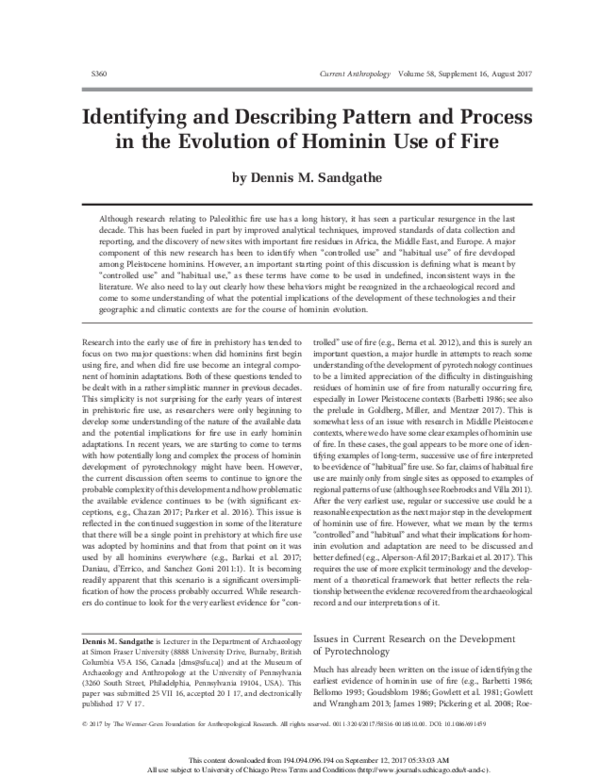 (PDF) Identifying and Describing Pattern and Process in the Evolution ...
