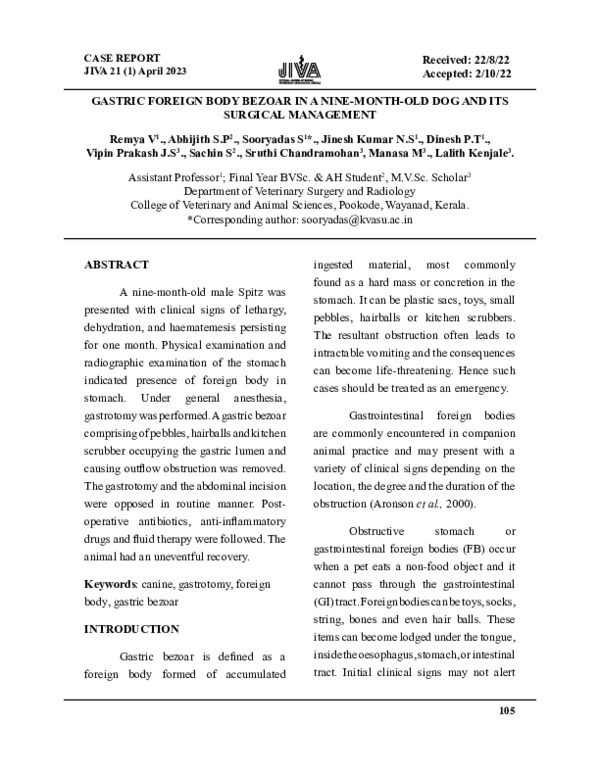(PDF) Gastric Foreign Body Bezoar in a Nine-Month-Old Dog and Its ...