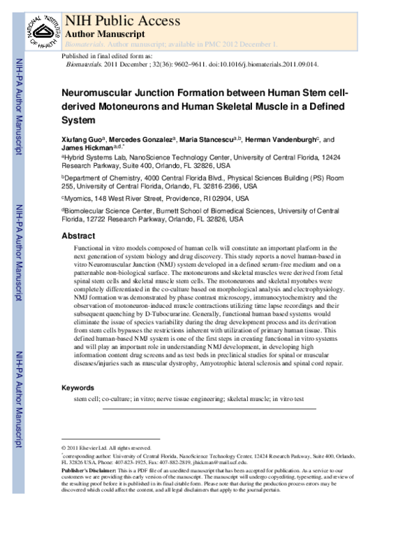 (PDF) Neuromuscular junction formation between human stem cell-derived ...