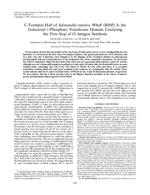 (PDF) C-terminal half of Salmonella enterica WbaP (RfbP) is the ...