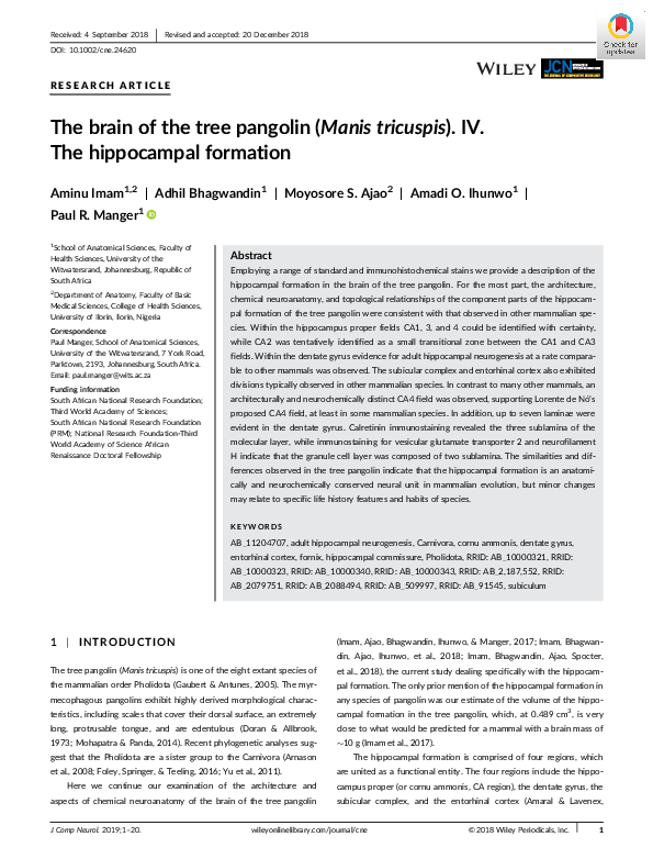 (PDF) The brain of the tree pangolin (Manis tricuspis). IV. The ...