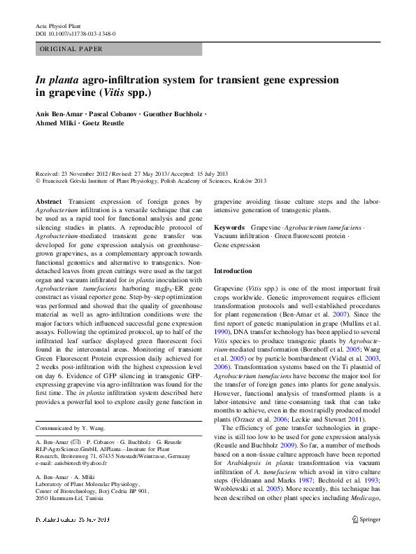 (PDF) In planta agro-infiltration system for transient gene expression ...
