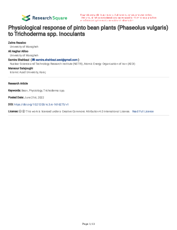 (PDF) Physiological response of pinto bean plants (Phaseolus vulgaris) to Trichoderma spp ...