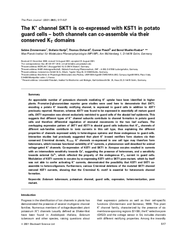(PDF) The K+ channel SKT1 is co‐expressed with KST1 in potato guard cells – both channels can co ...