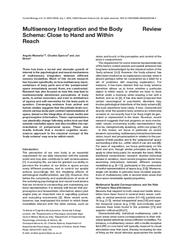 (PDF) Multisensory integration and the body schema: close to hand and ...