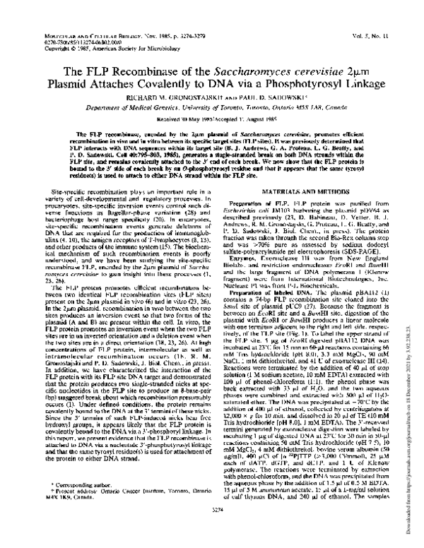 (PDF) The FLP recombinase of the Saccharomyces cerevisiae 2 microns plasmid attaches covalently ...