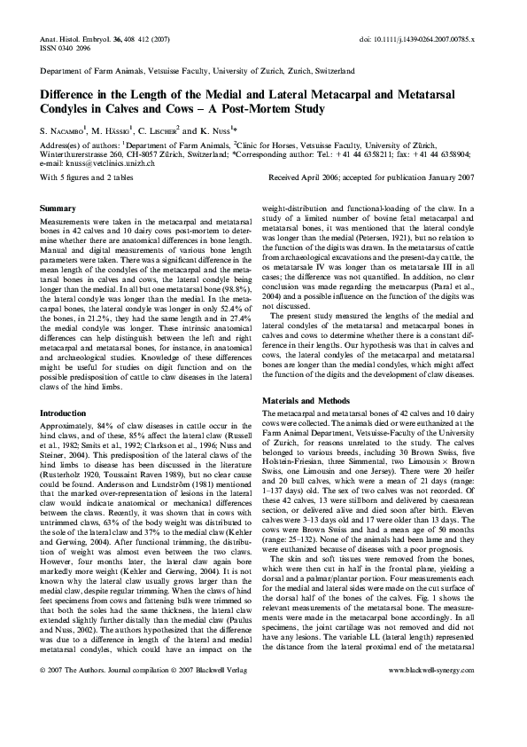(PDF) Difference in the Length of the Medial and Lateral Metacarpal and ...