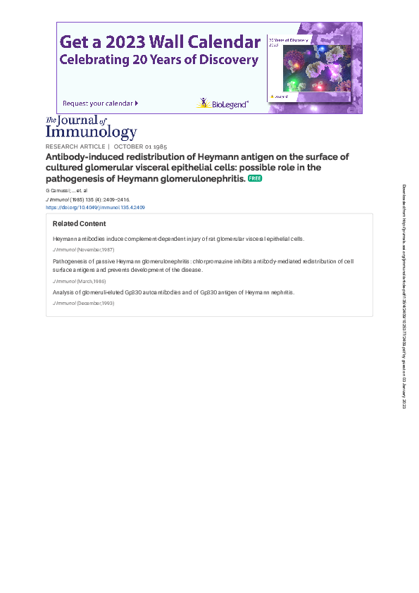 (PDF) Antibody-induced redistribution of Heymann antigen on the surface ...